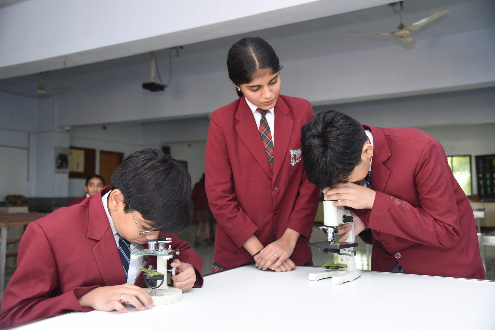 Home - Silver Bells Public School